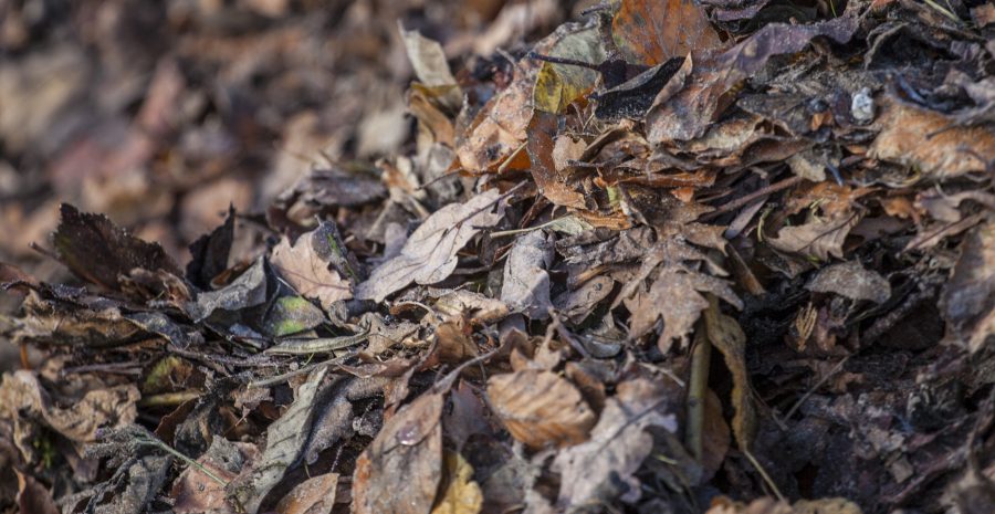 Groenafval - Afvalzorg