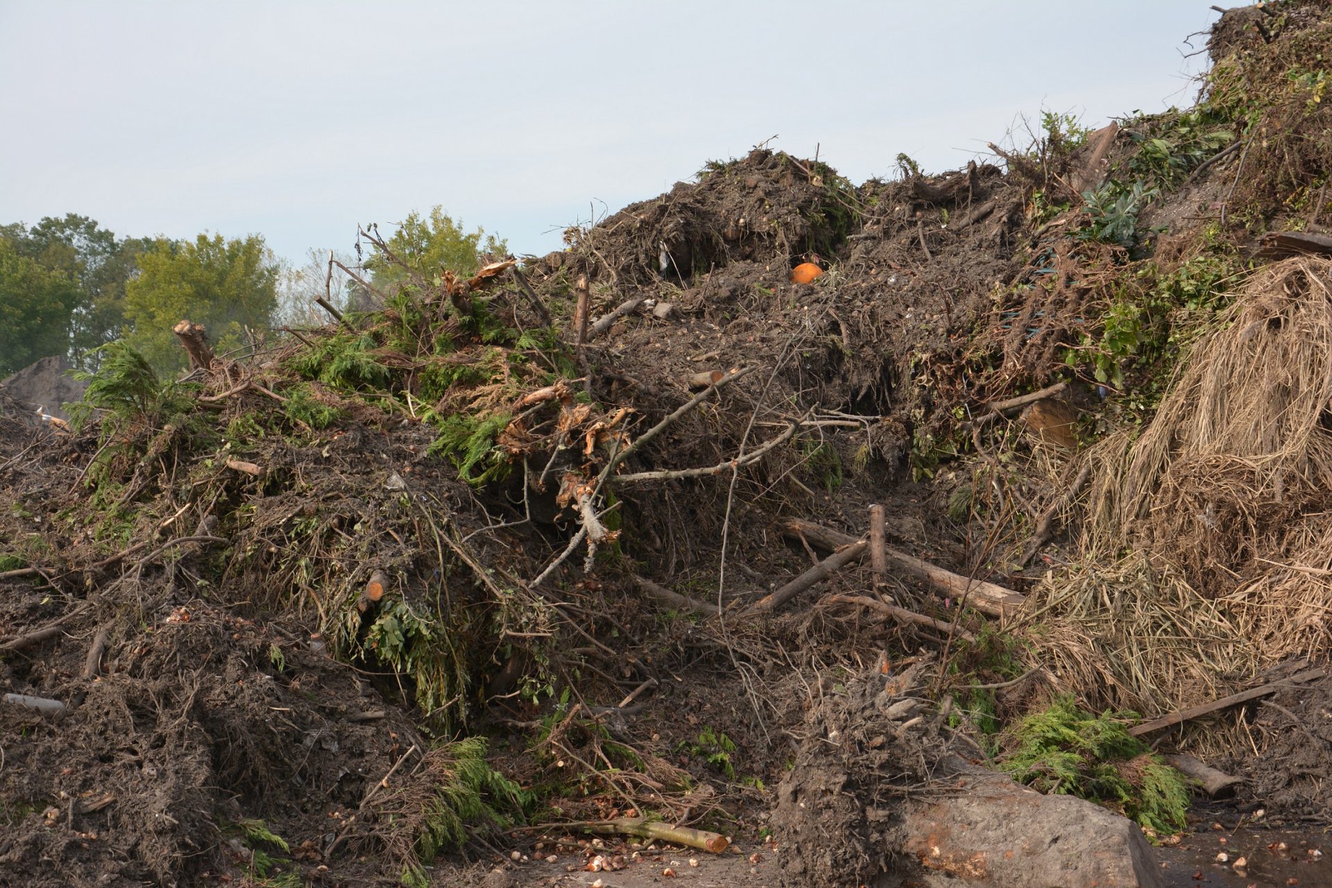 Groenafval gemengd - Afvalzorg