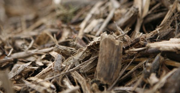 Groenafval - Afvalzorg